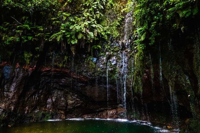 De beste reisperiode voor Madeira - Madeira Zonvakantie